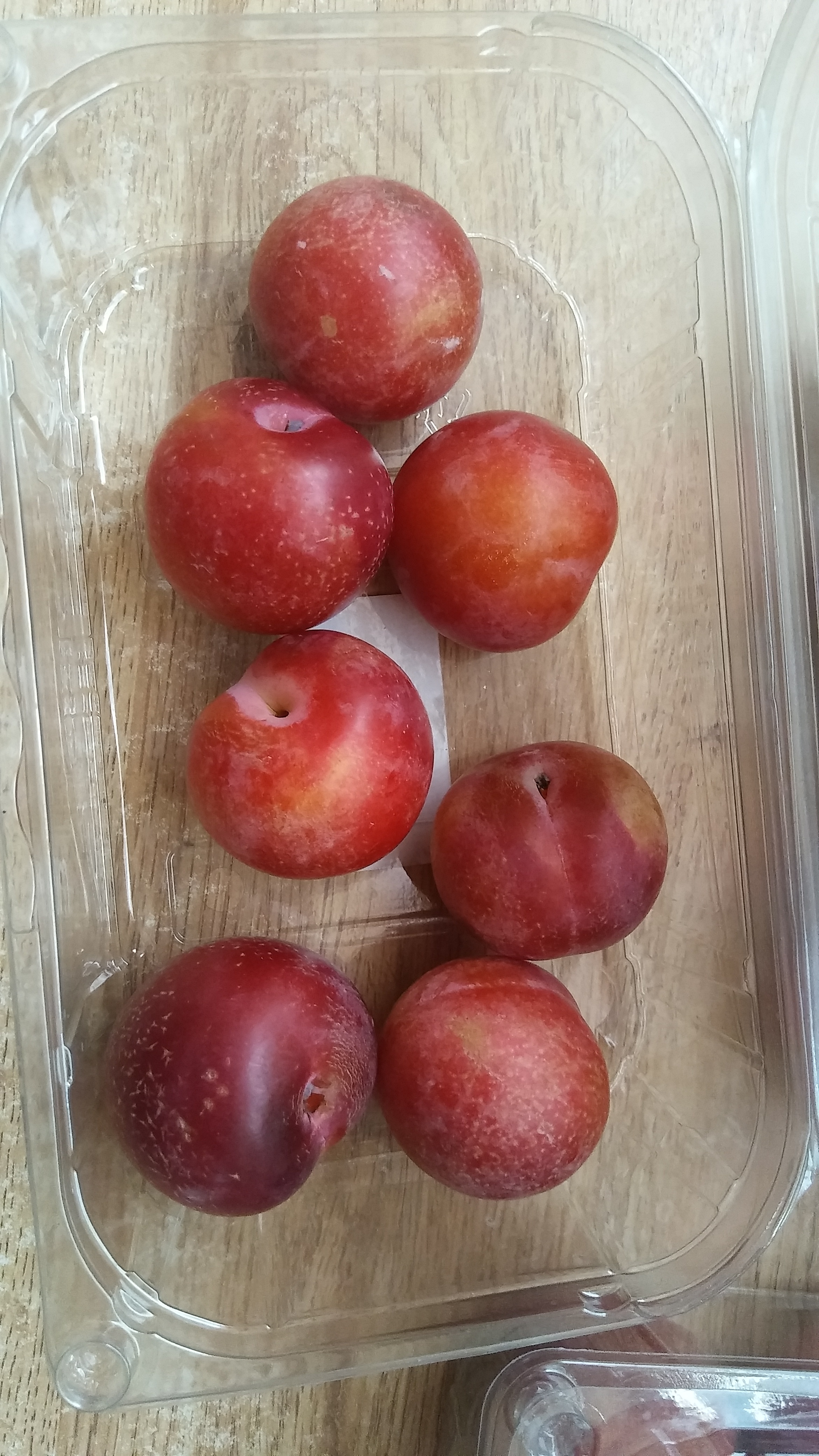 Verry Cherry plums - General Fruit Growing - Growing Fruit