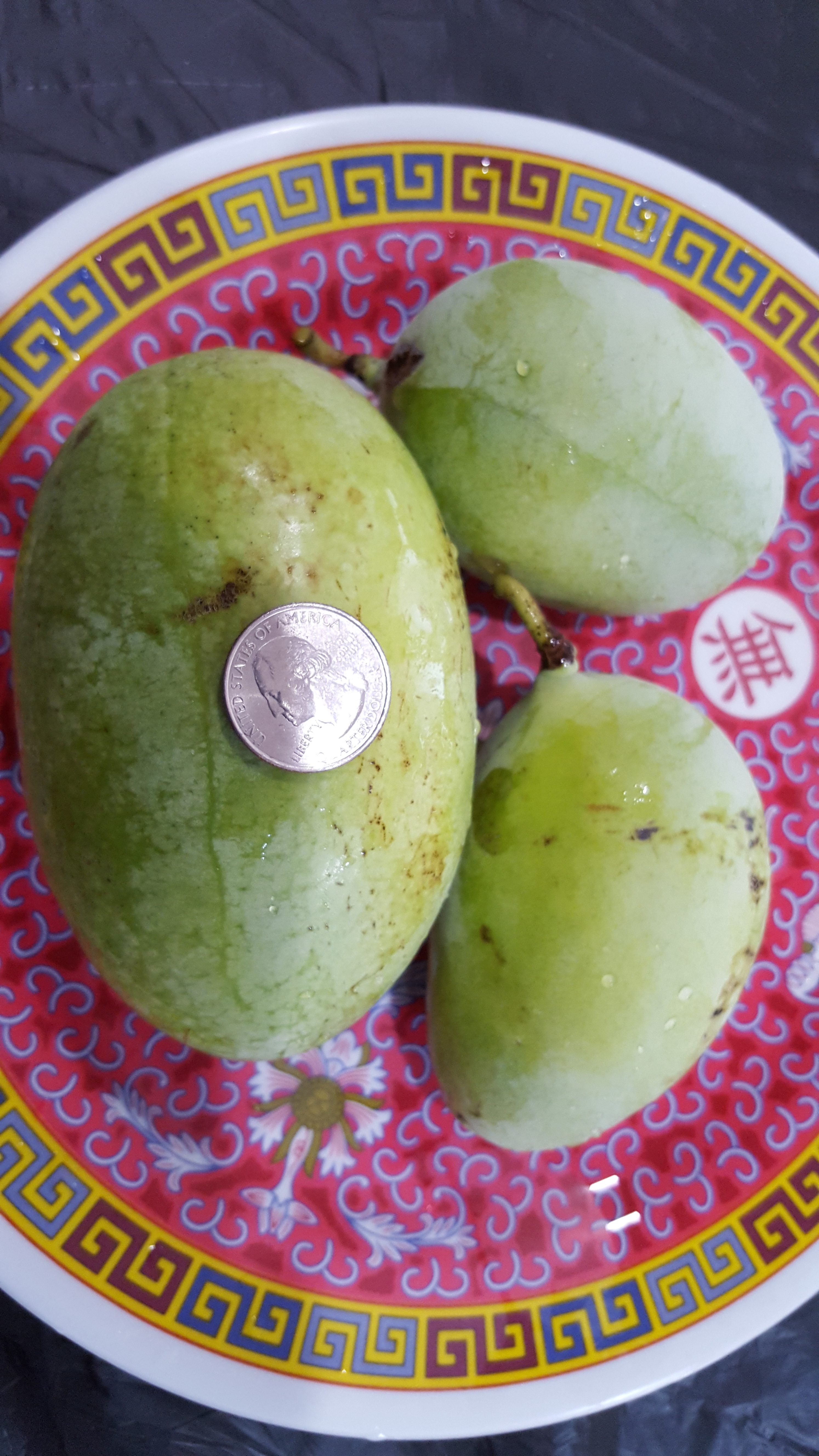First ripe Shenandoah pawpaw of the season - General Fruit Growing ...