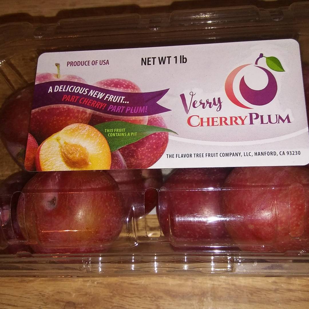 Verry Cherry plums - General Fruit Growing - Growing Fruit