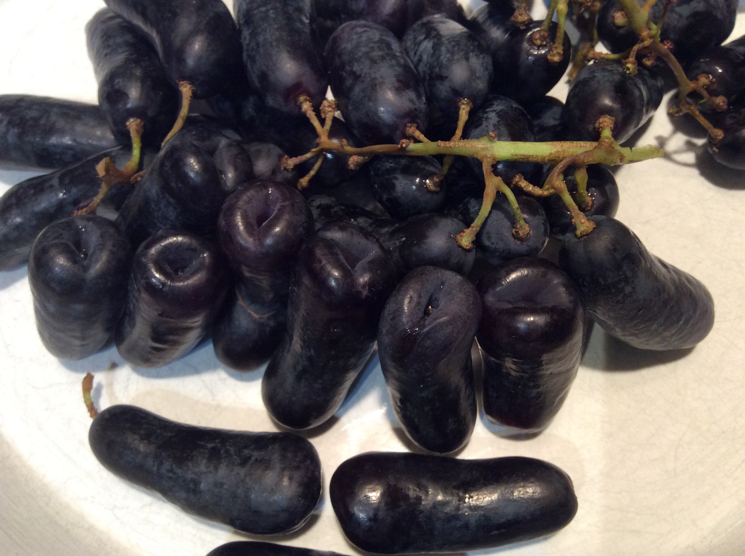 Strange shaped grapes - General Fruit Growing - Growing Fruit